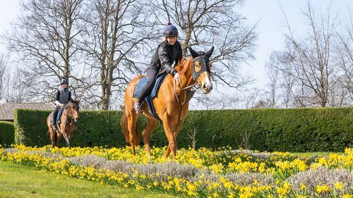 James Fanshawe | Racehorse Trainer