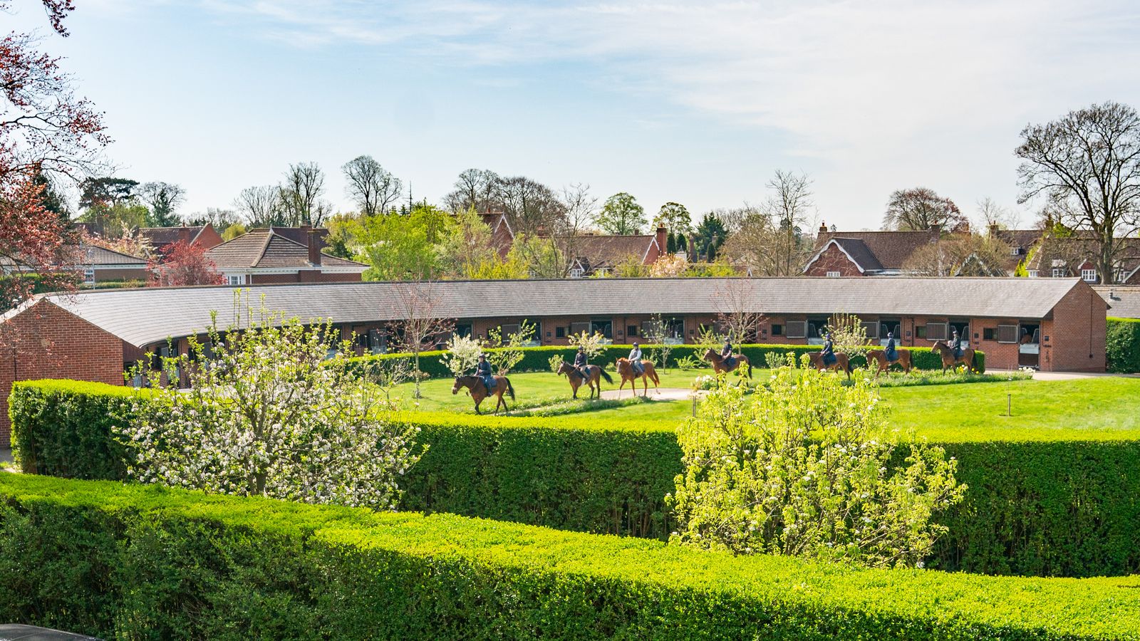 Pegasus Stables | James Fanshawe