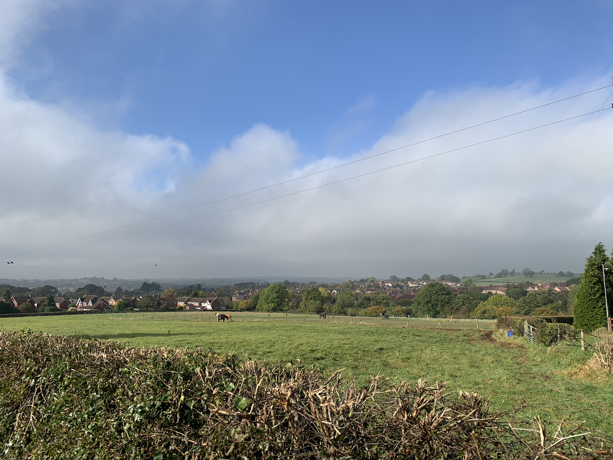 Strategic Land Group