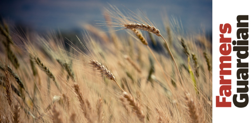 Readying land for sale in 2020 - what British farmers need to know ...