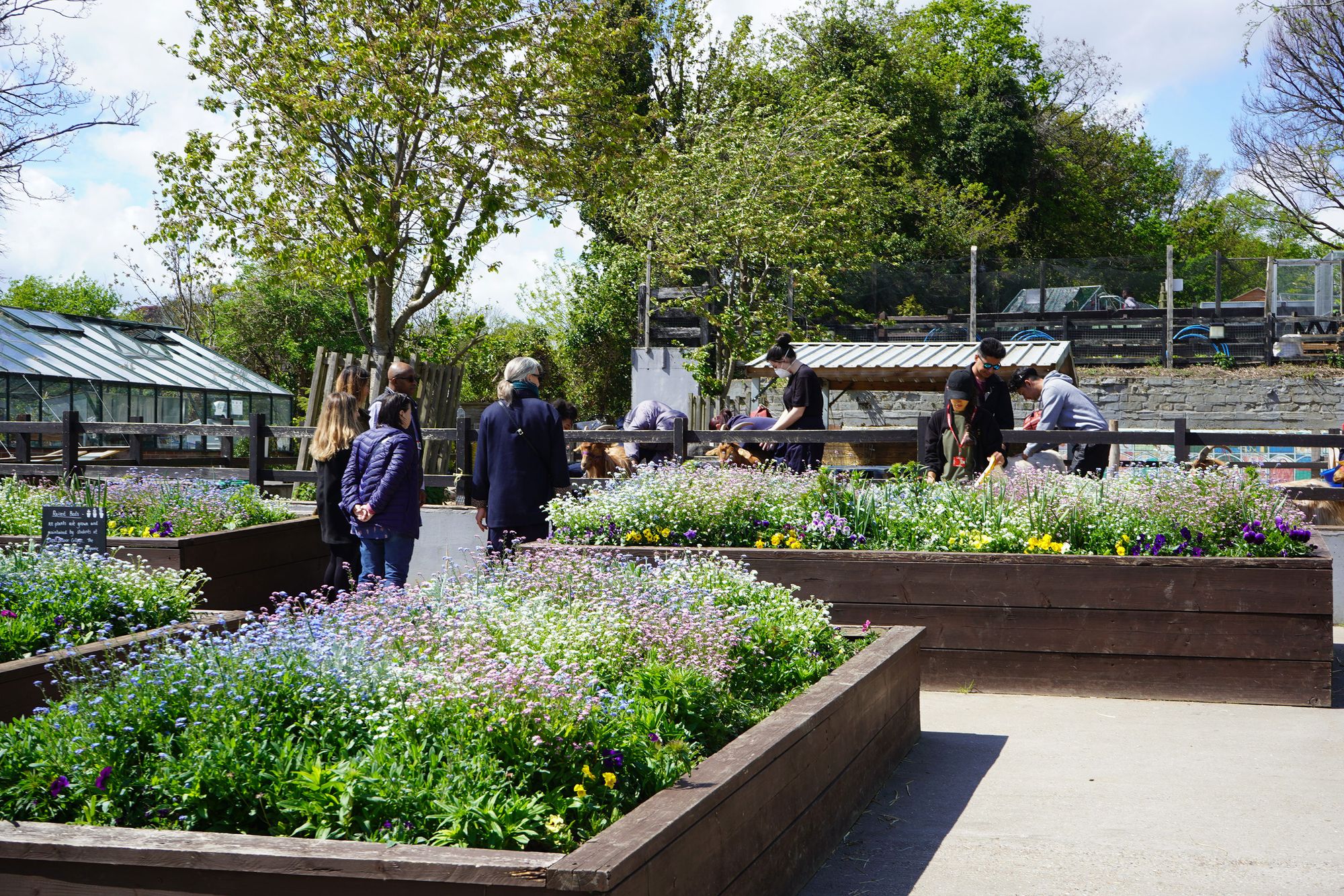 Crystal Palace Park Farm