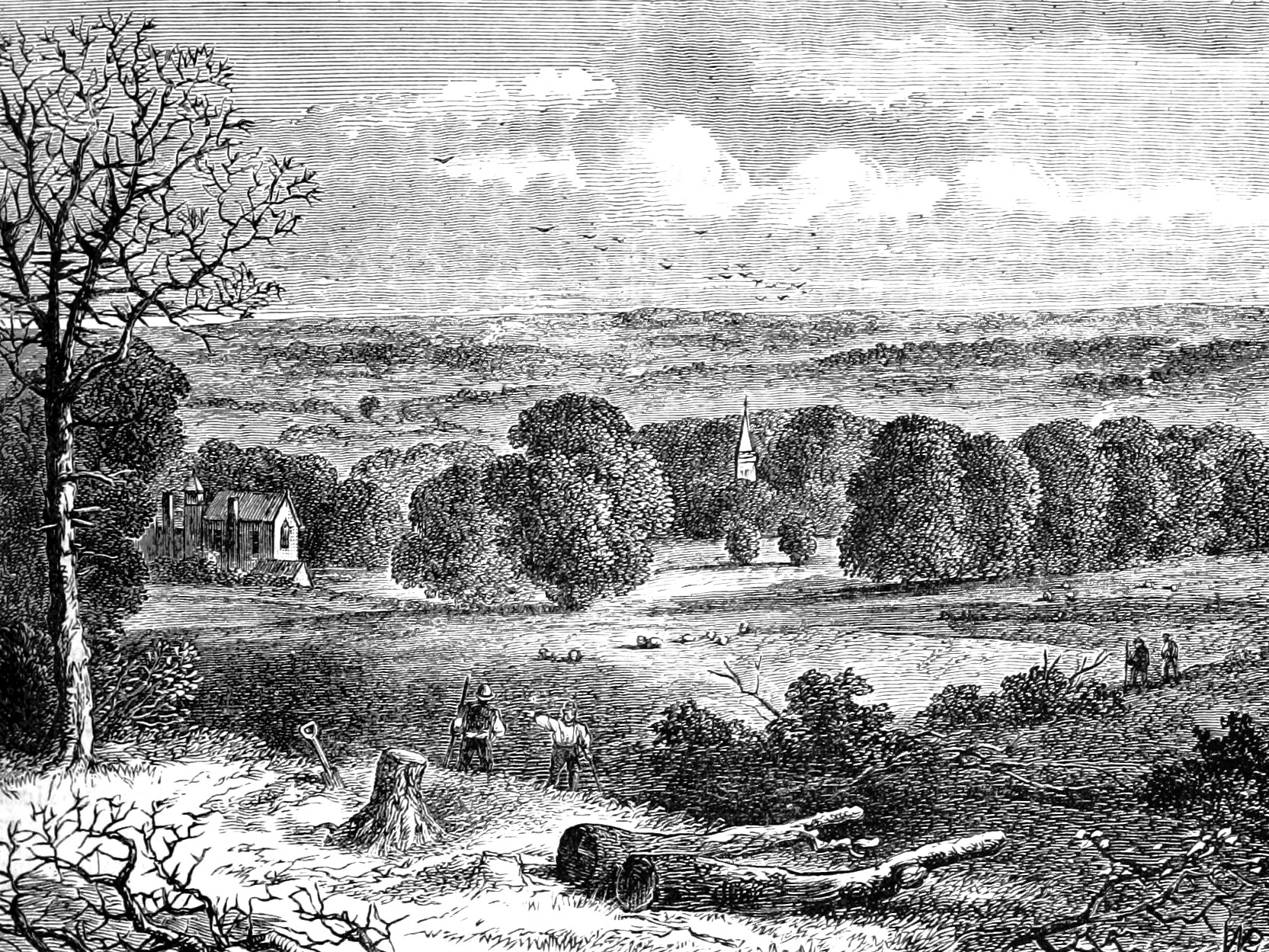 The Park’s history