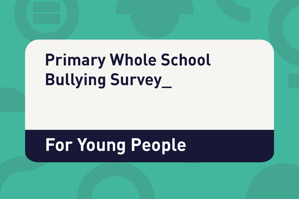 Primary Whole School Bullying Survey