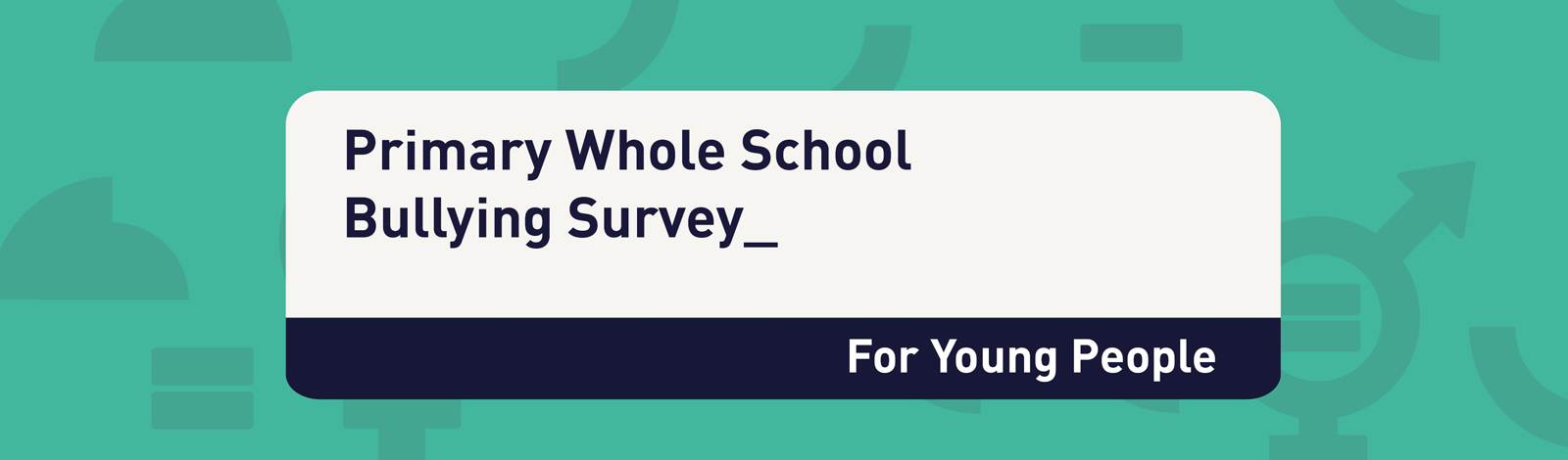 Primary Whole School Bullying Survey
