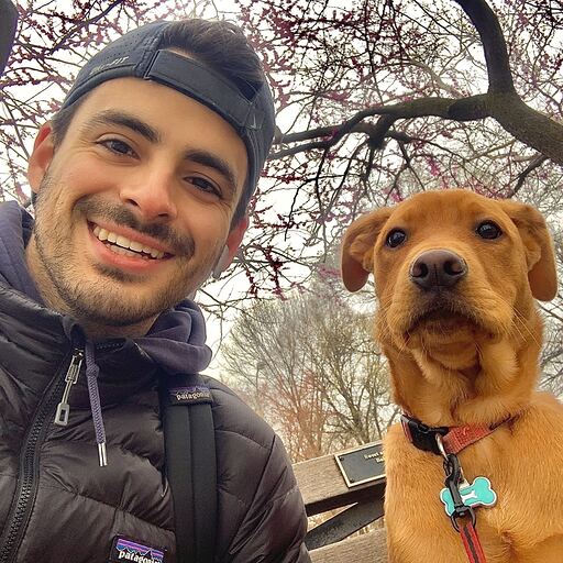 Green Project Collaborates with Microsoft to Provide Seamless Carbon ...