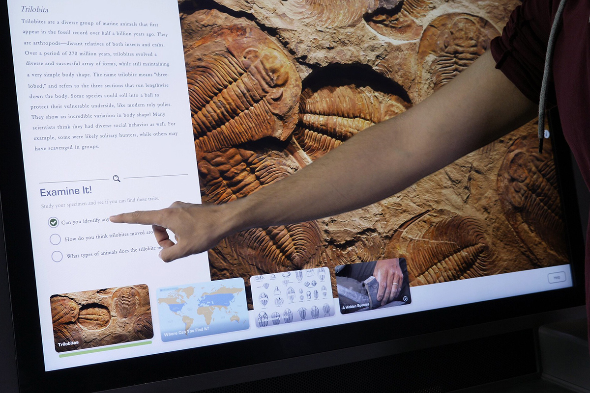 Ideum Creates Interactive Experiences about the Natural World