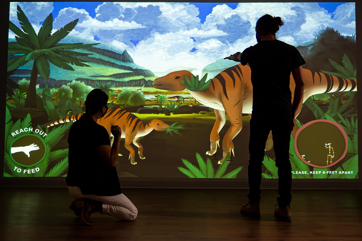 Ideum Creates Interactive Experiences about the Natural World