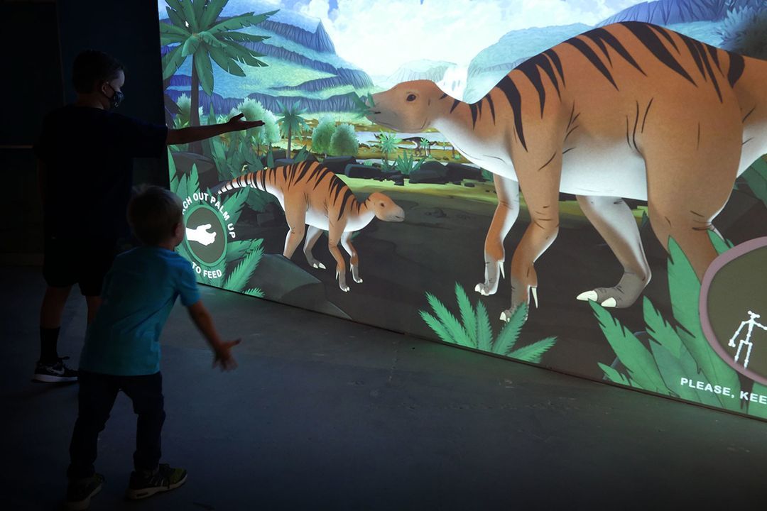 Museum Visitors Learn about Life Science with Ideum Exhibits