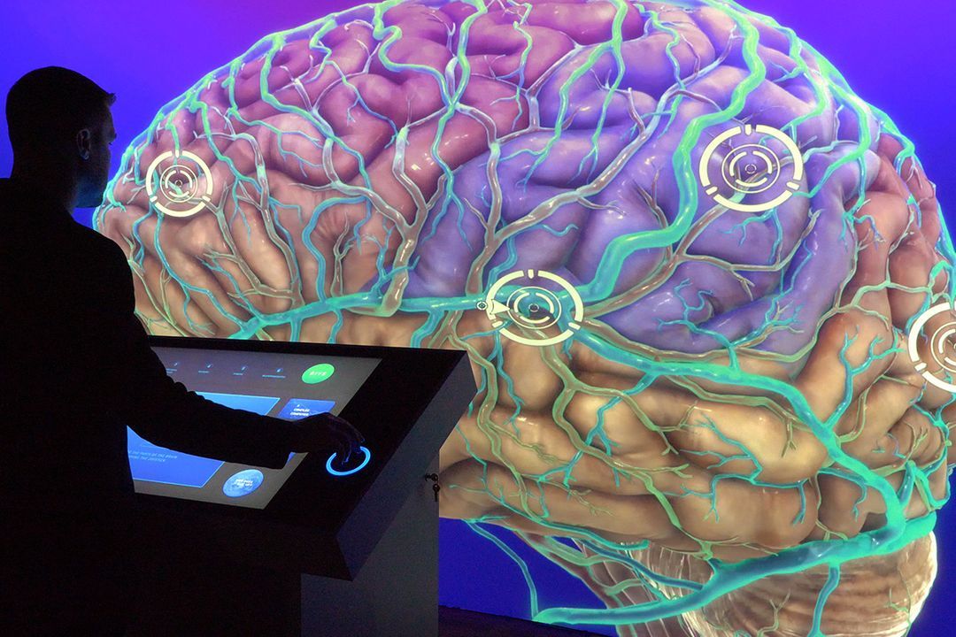 Museum Visitors Learn about Life Science with Ideum Exhibits