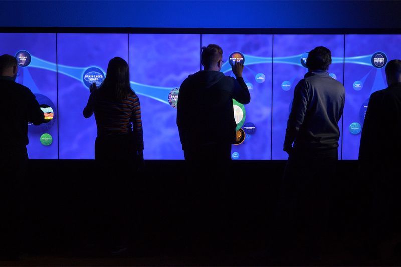 Museum Visitors Learn about Life Science with Ideum Exhibits