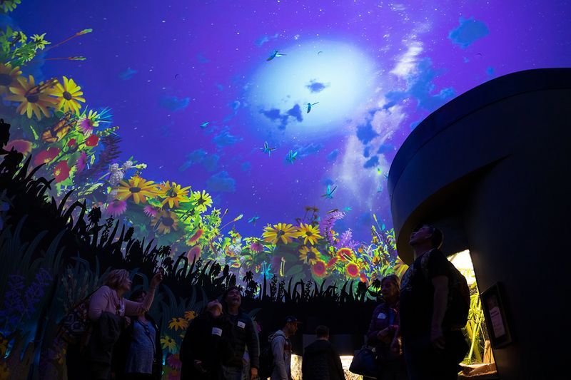 Interactive Exhibits at the San Diego Zoo Wildlife Explorers Basecamp