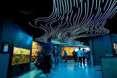 Interactive Exhibits at the San Diego Zoo Wildlife Explorers Basecamp