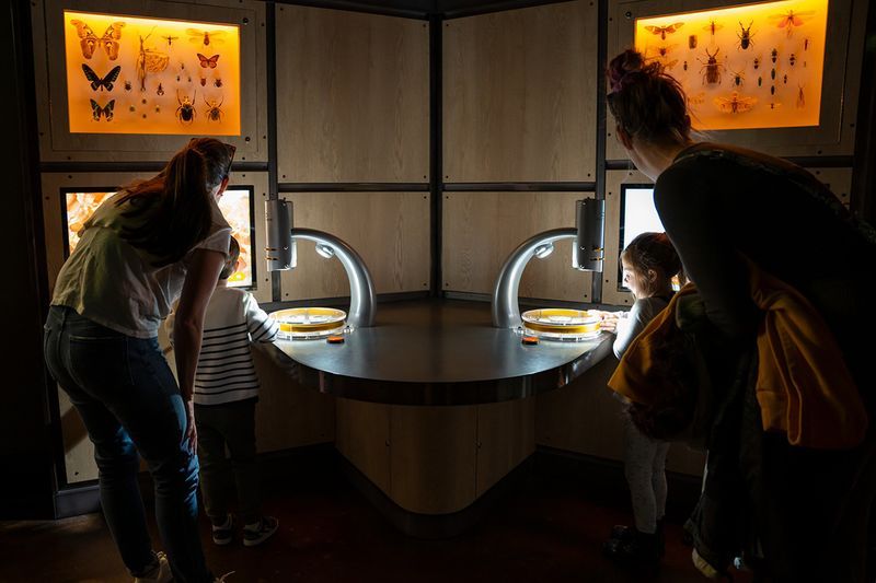 Interactive Exhibits at the San Diego Zoo Wildlife Explorers Basecamp