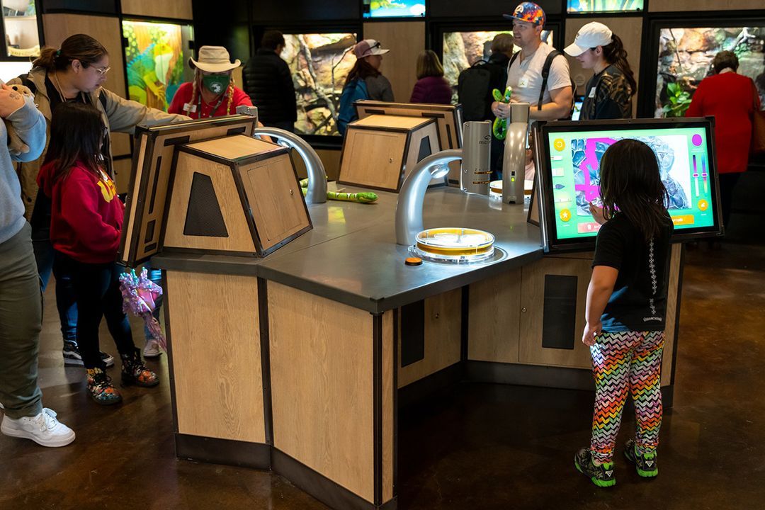 Interactive Exhibits at the San Diego Zoo Wildlife Explorers Basecamp