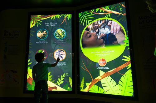 Interactive Exhibits at the San Diego Zoo Wildlife Explorers Basecamp