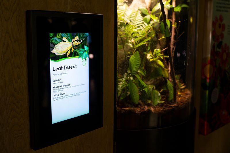 Interactive Exhibits at the San Diego Zoo Wildlife Explorers Basecamp