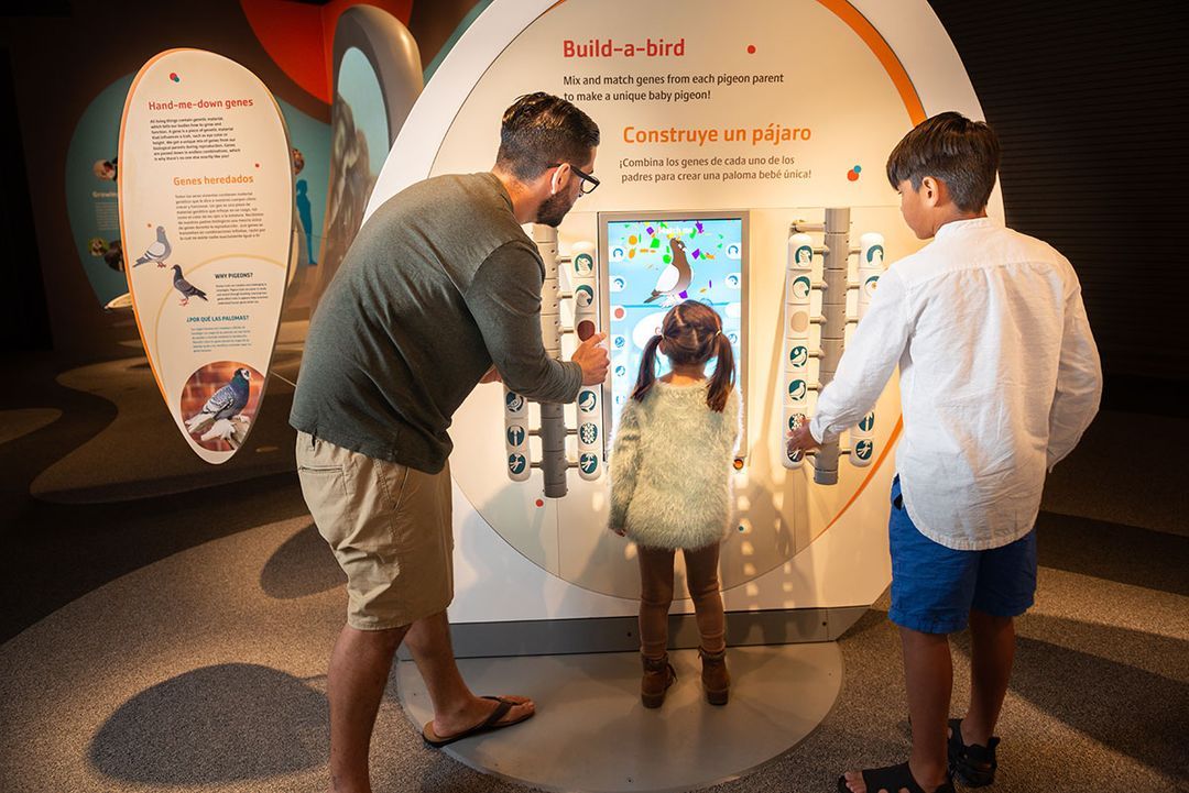Life! Beginnings at the California Science Center