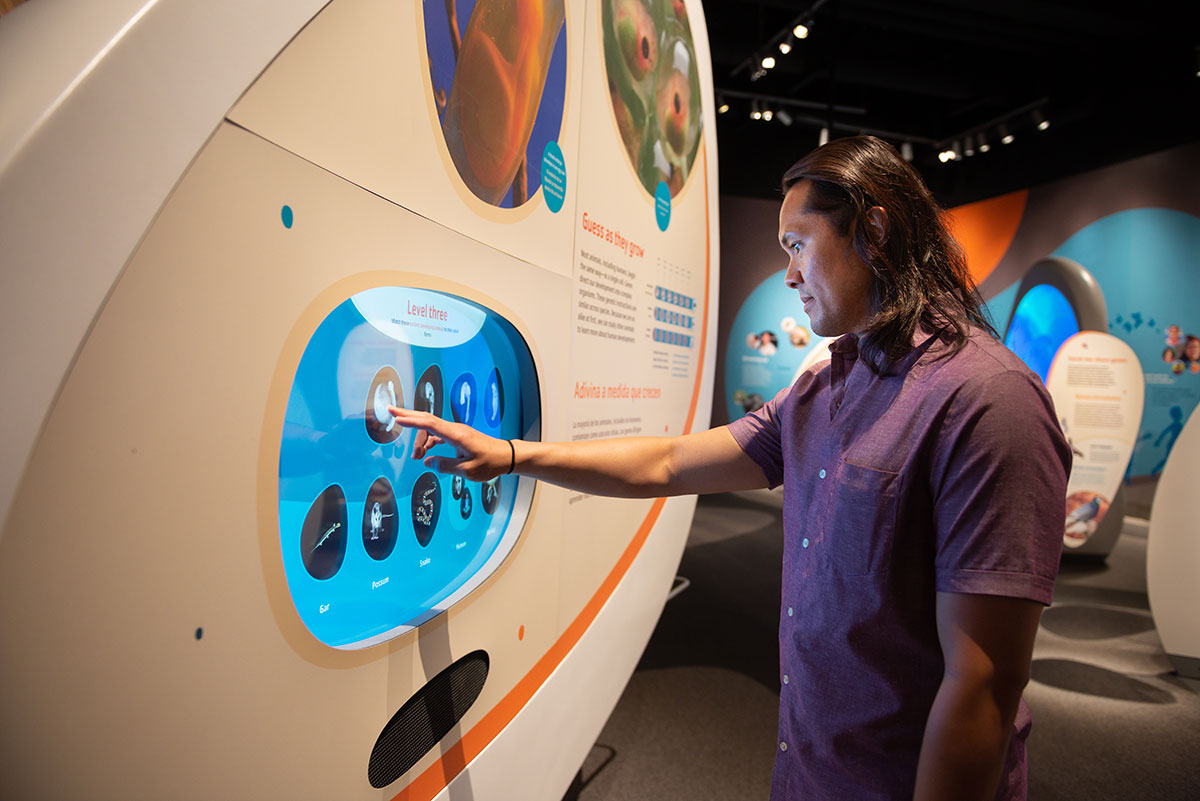 Life! Beginnings at the California Science Center