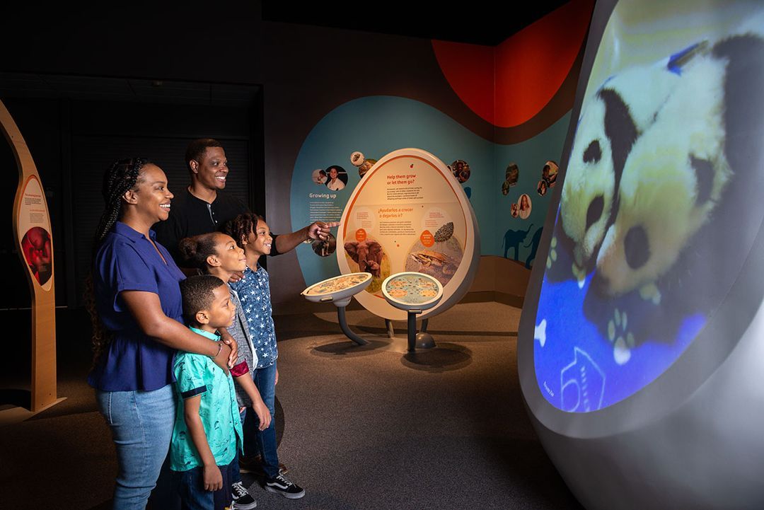 Life! Beginnings at the California Science Center