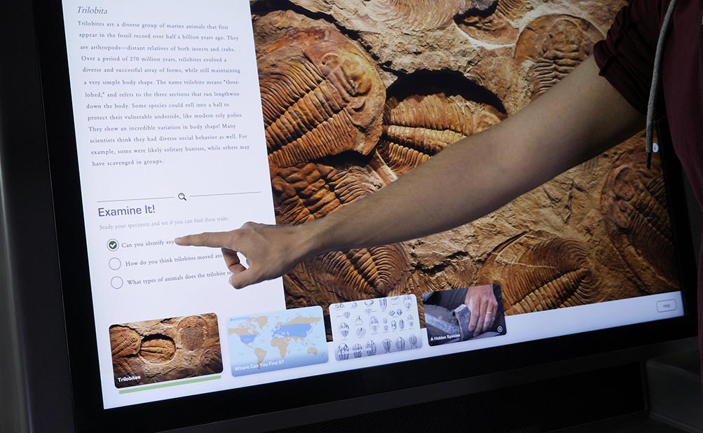 Natural History Exhibit Allows Visitors to Examine Real Artifacts