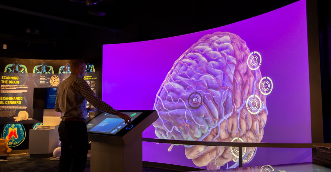 Large-Scale Exhibits Create Uniquely Immersive Journeys Into the Human ...