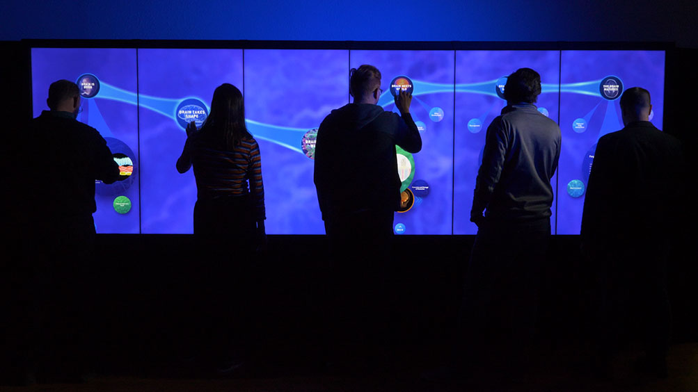 Large-Scale Exhibits Create Uniquely Immersive Journeys Into the Human ...