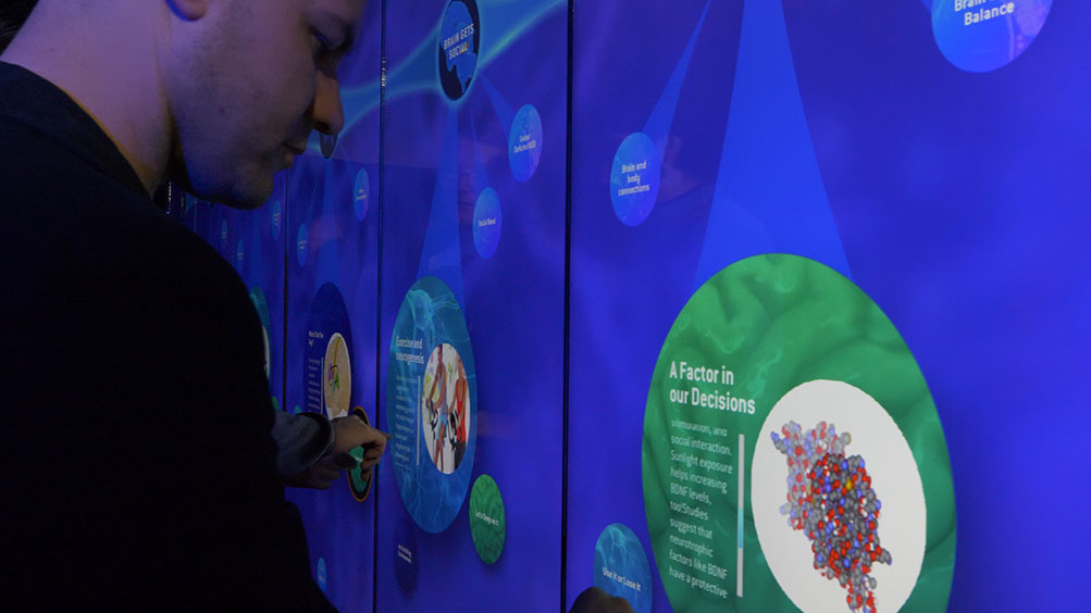 Large-Scale Exhibits Create Uniquely Immersive Journeys Into the Human ...