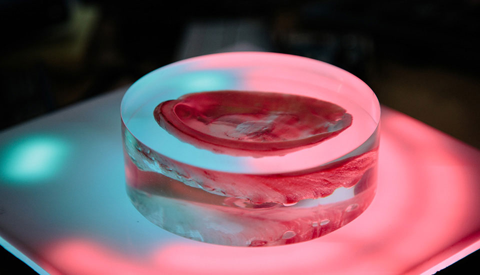 Exploratorium Global Studios