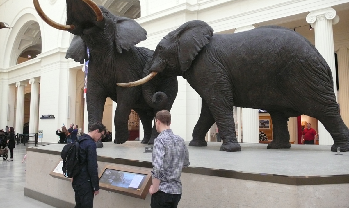 Custom Touch Tables & Touch Walls