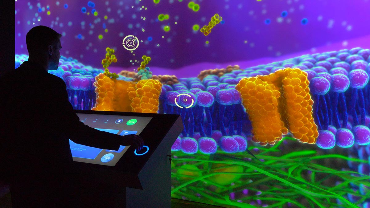 New Brain Exhibits Installed at South Florida Science Center