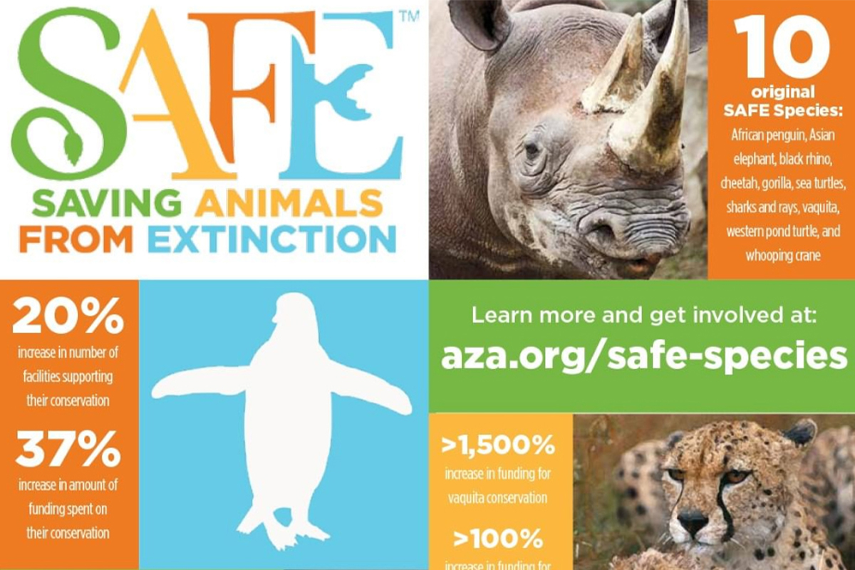 Ideum to Exhibit at AZA Conference in New Orleans