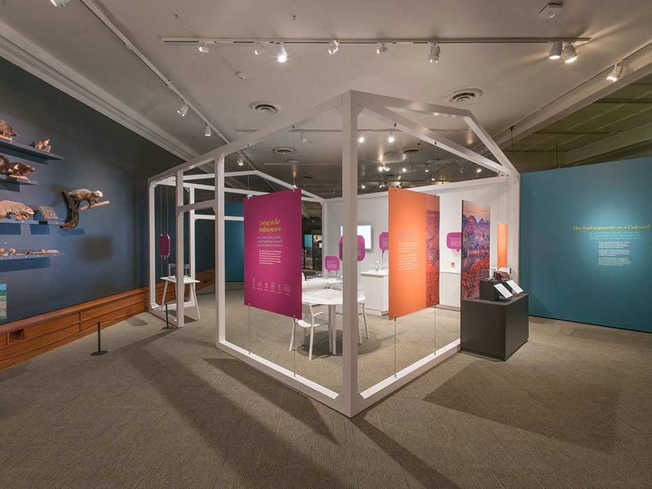 Ideum Welcomes New Executive Producer