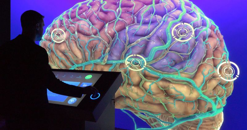 Brain Odyssey Interactive Exhibit Now Available for Purchase