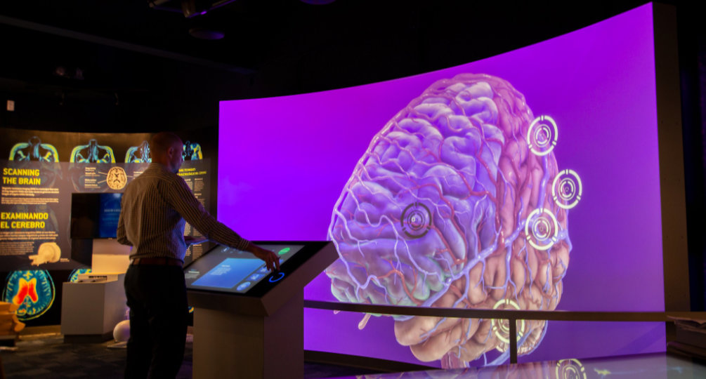 Brain Odyssey Interactive Exhibit Now Available for Purchase