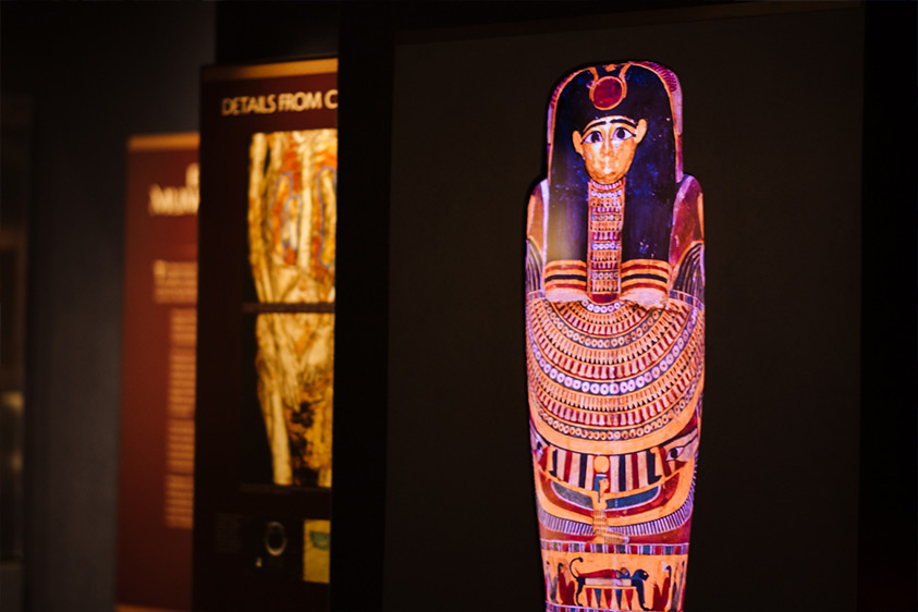 Life-Sized Mummy CAT Scan Exhibit