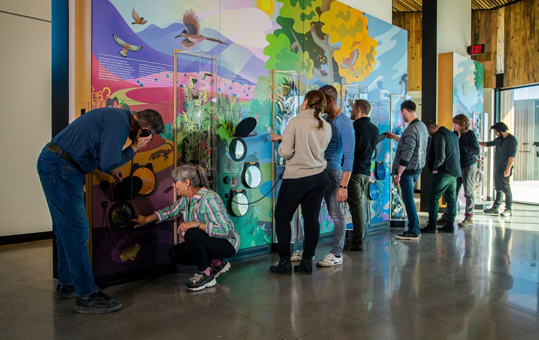 Ideum News - Updates on Experience Design Projects, Touch Tables and ...