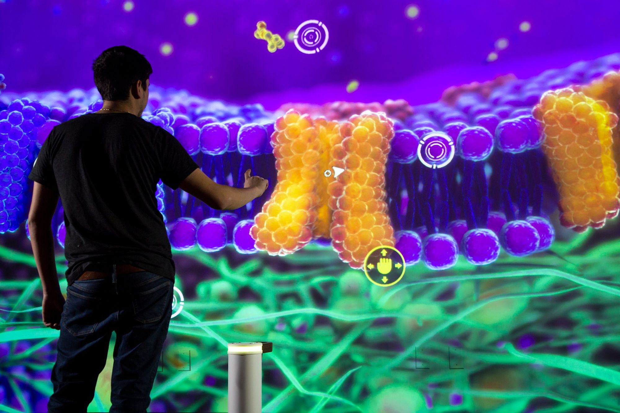 Touchless Pedestal - Interactive Touch-Free Device by Ideum