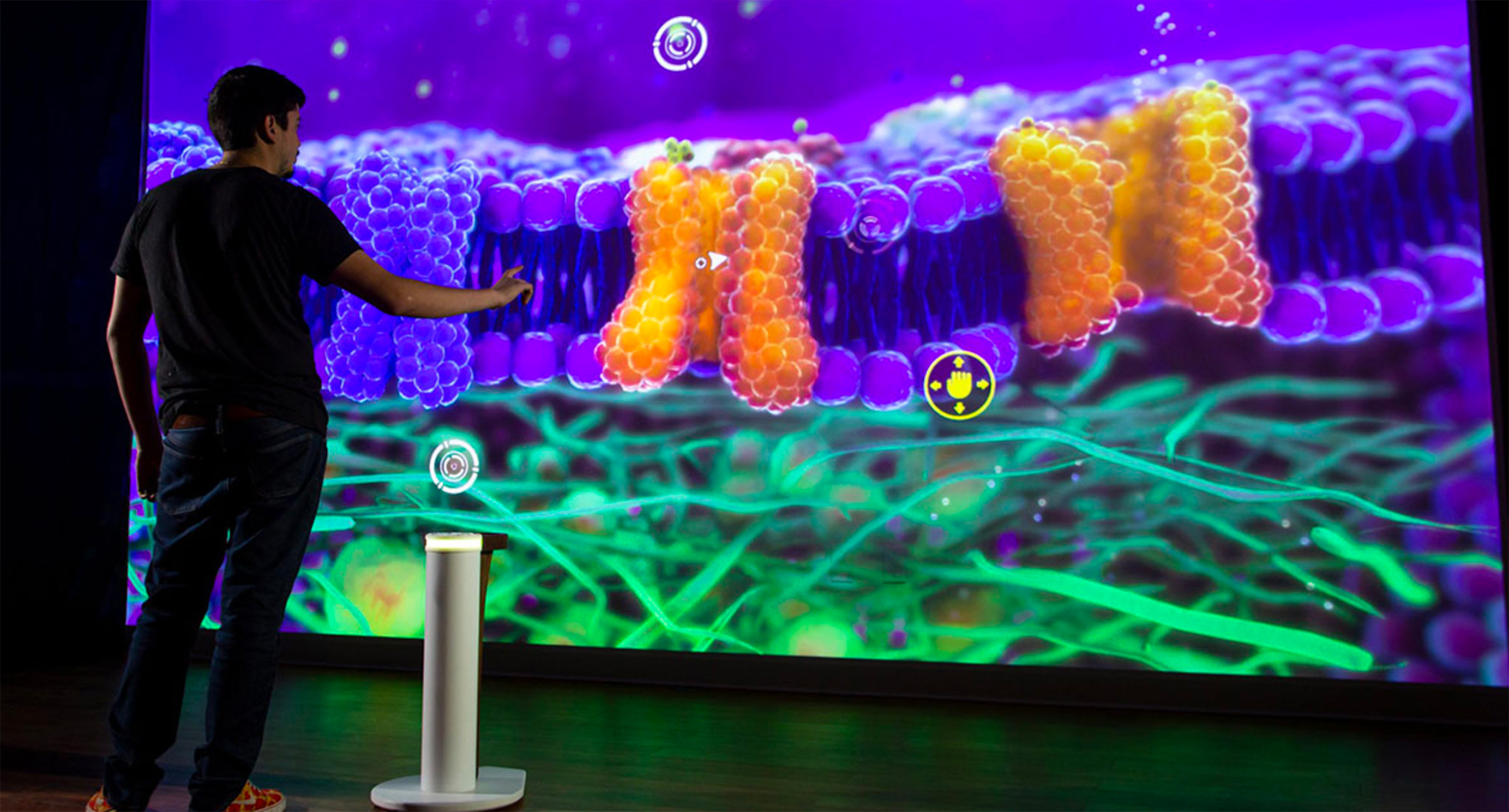 Ideum – Exhibit Design | Touch Tables & Displays | Interactive Exhibits