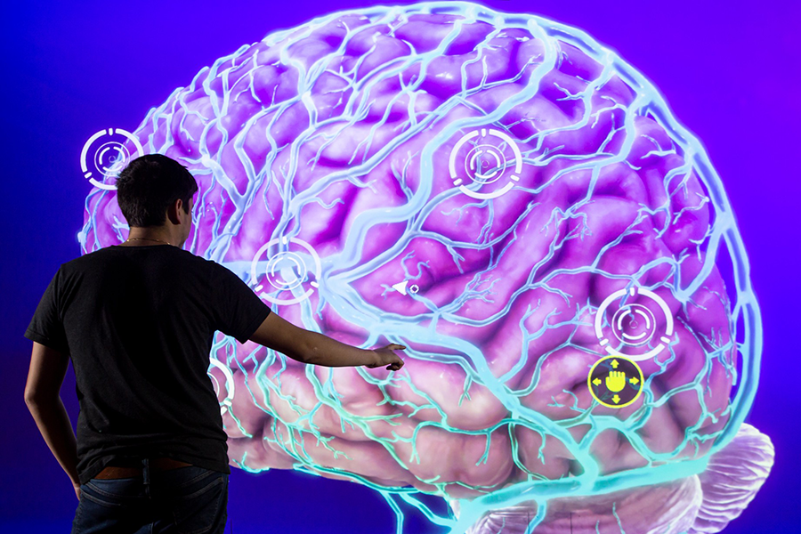 Ideum Plans Our Summer Studio Party