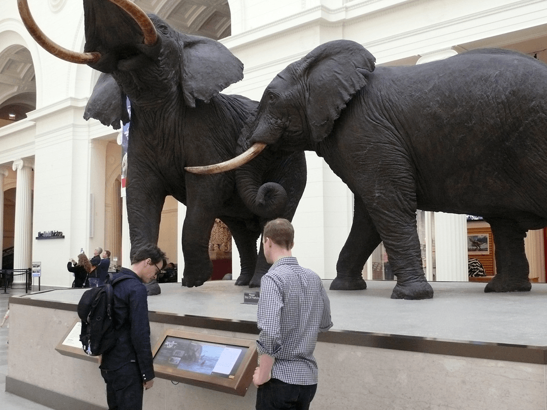 The Ultimate Reader Rail: Ideum's New High-Resolution Ultrawide Touch ...