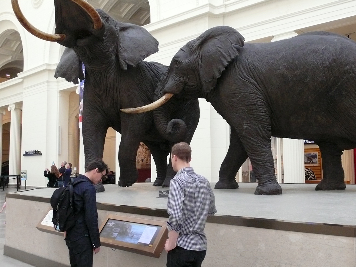 The Ultimate Reader Rail: Ideum's New High-Resolution Ultrawide Touch ...