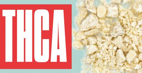 What is THCA Powder? | Surterra - Medical Marijuana Dispensaries