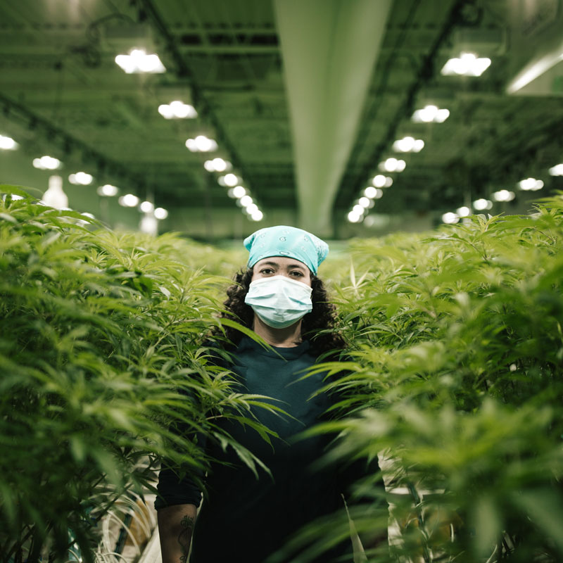 About | NETA - Recreational & Medical Marijuana Dispensaries