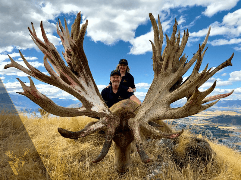 The Kings’ Slam 4x SCI World Record Red Stags *pending ratification by ...