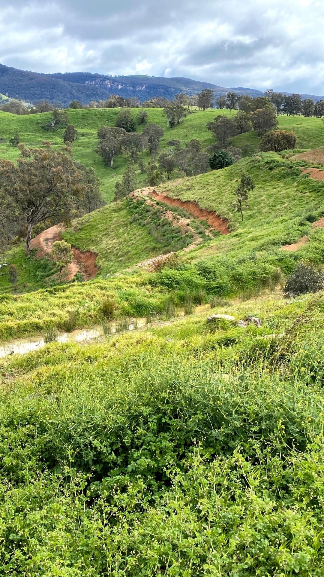 Learn Natural Sequence Farming @ The Sunshine Coast