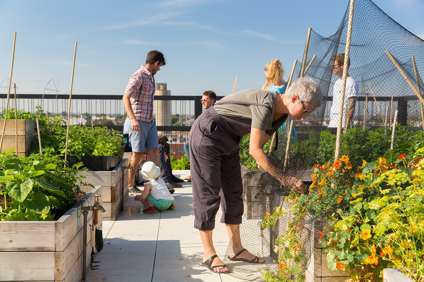 The Commons in Brunswick, VIC