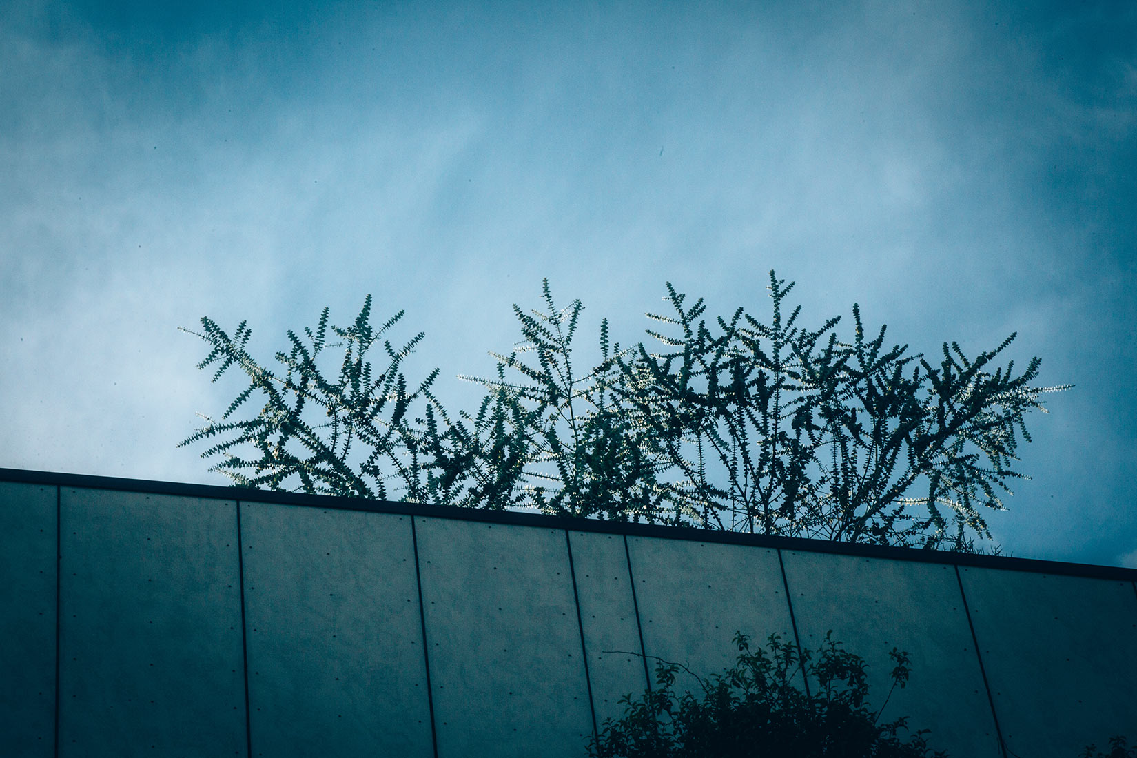 Resident stories: Marcelo about life at Nightingale 2