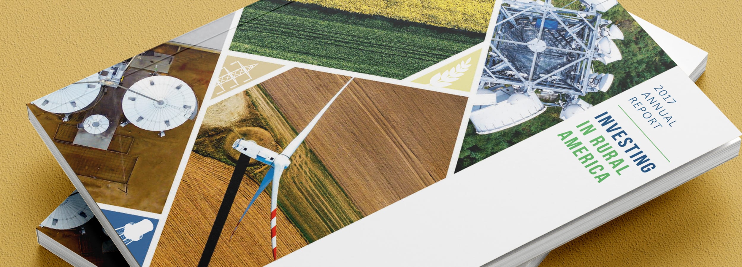 BDD-CoBank Annual Report