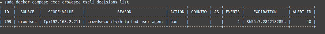 We can review and inspect alerts with docker-compose exec crowdsec ...