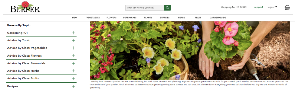 10 Topic Cluster Examples To Learn From